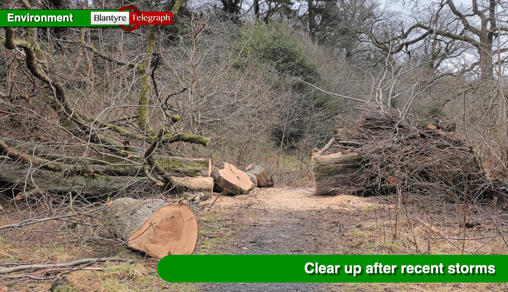 Big Clear Up after storms - Blantyre Telegraph