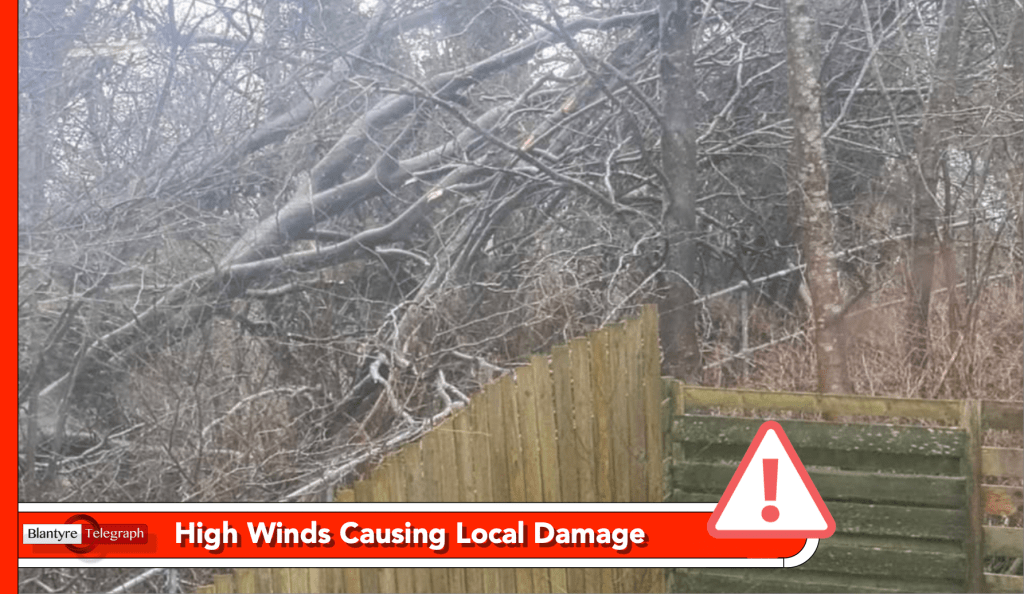 High Winds and Fallen Trees - Blantyre Telegraph