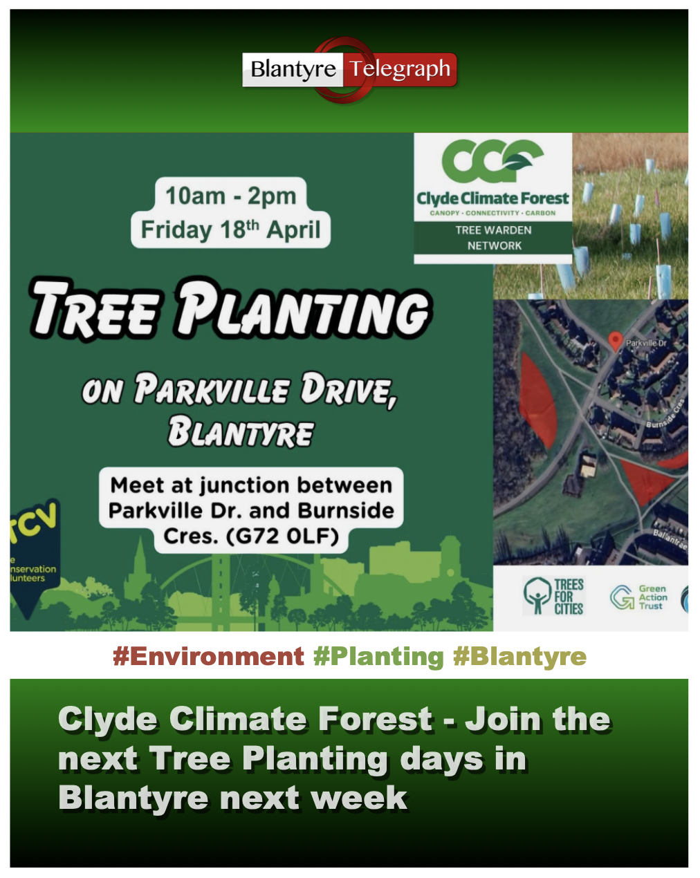 Join the Clyde Climate Forest Tree Planting Event in Blantyre ...