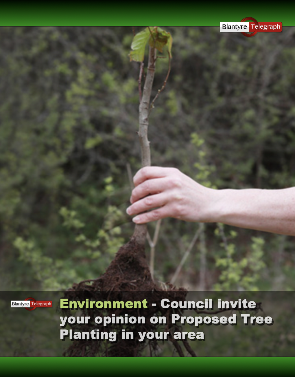 Council invite your opinion on Proposed Tree Planting - Blantyre Telegraph