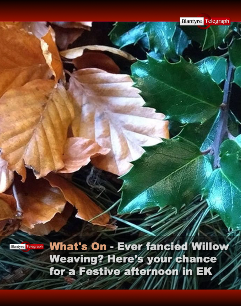 Festive Event - Willow Weaving at National Museum of Rural Life ...